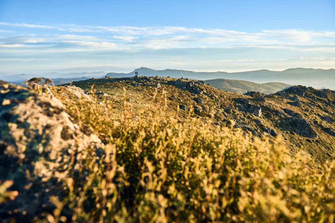 Latest News – Mt Stirling Alpine Resort